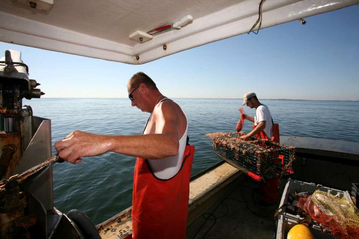 Local lobstermen say no to moratorium