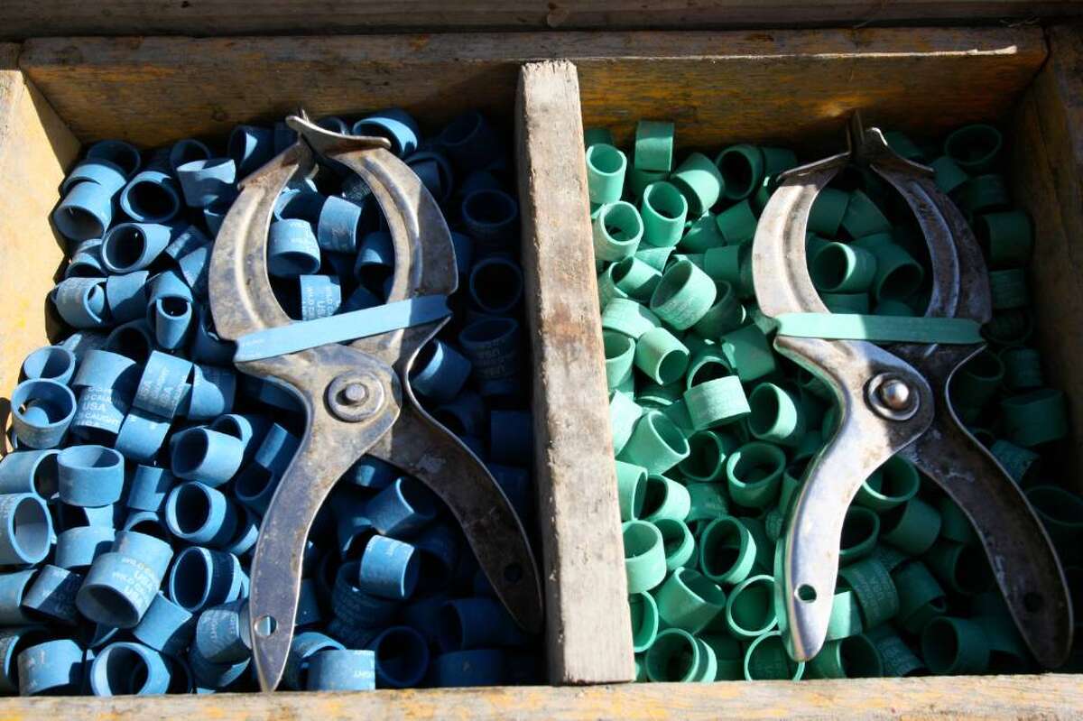 Local lobstermen say no to moratorium