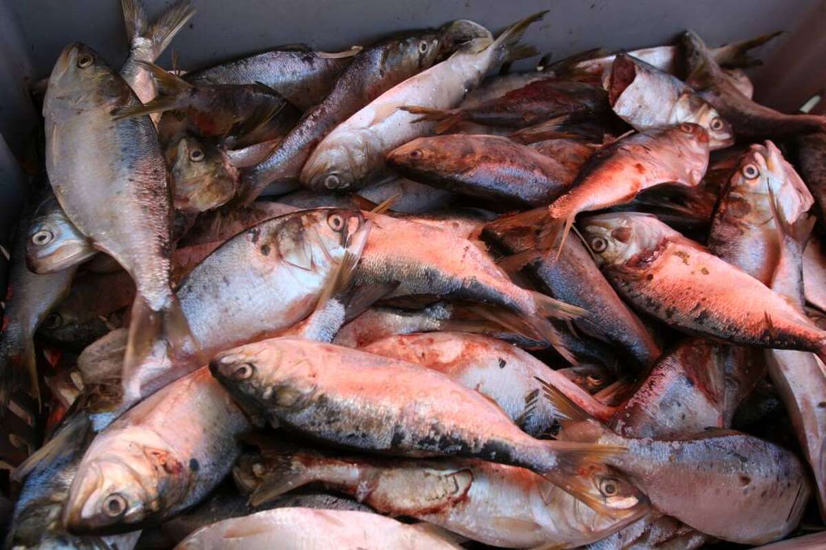 Local lobstermen say no to moratorium