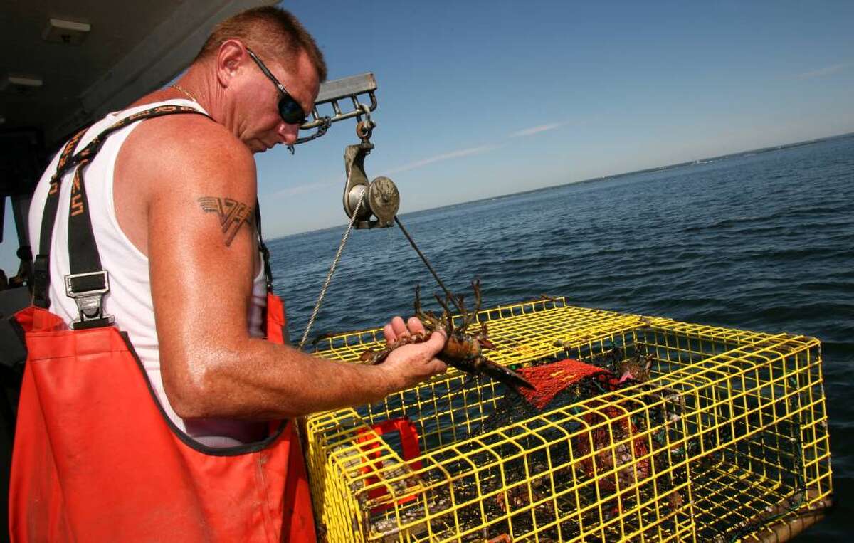 Local lobstermen say no to moratorium