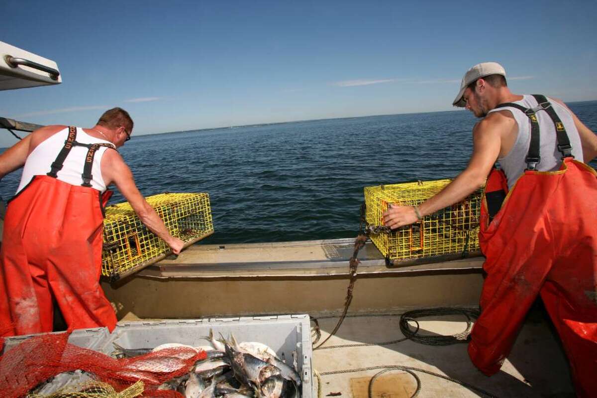 Local lobstermen say no to moratorium