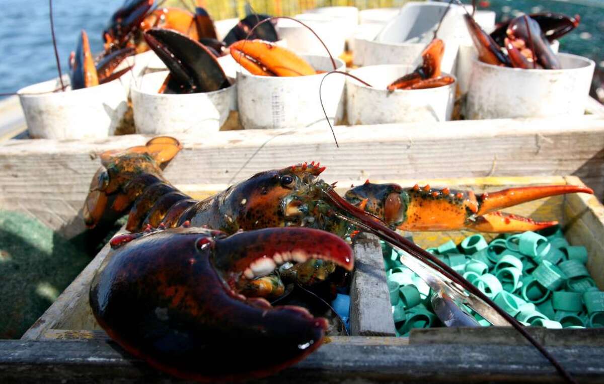 Local lobstermen say no to moratorium