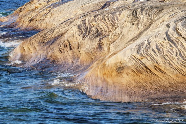 Reed's photography on display at Meier Camera