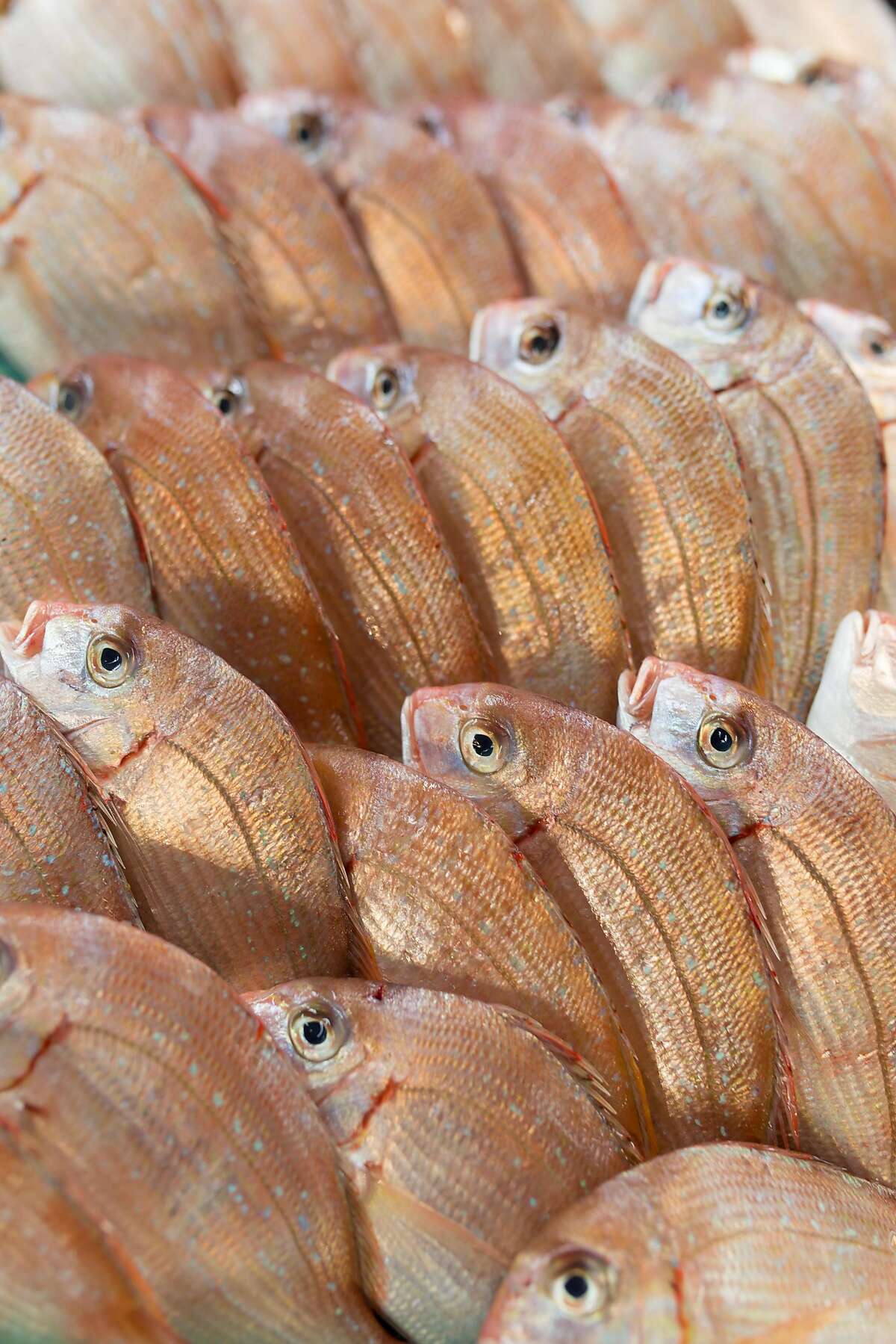 How sushi gets from Japan to San Francisco