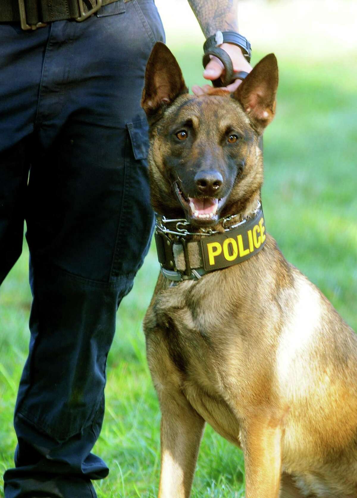 Connecticut State Police trooper, K9 featured in calendar
