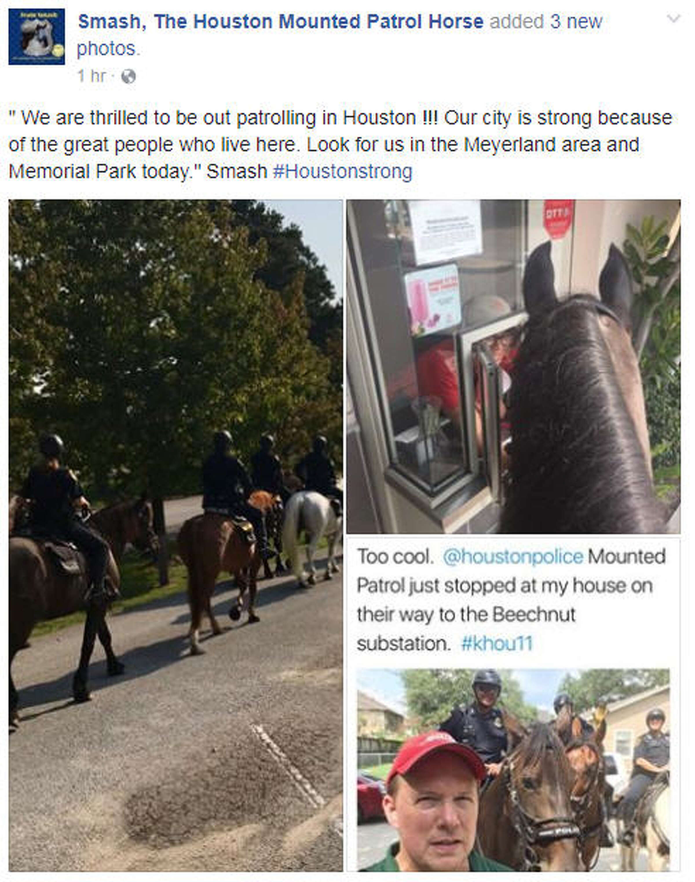 Smash, the Houston mount patrol horse, returns to work after evacuating ...