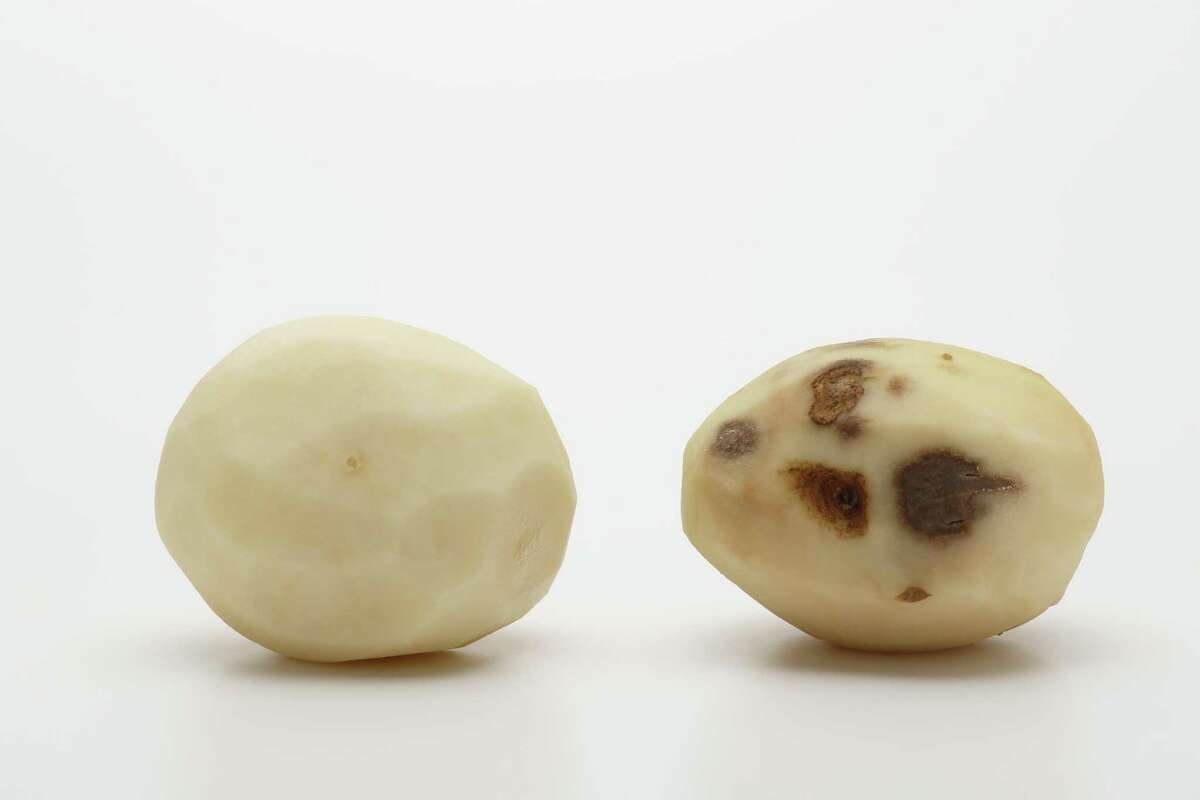 12 potatoes to know — and what to do with them