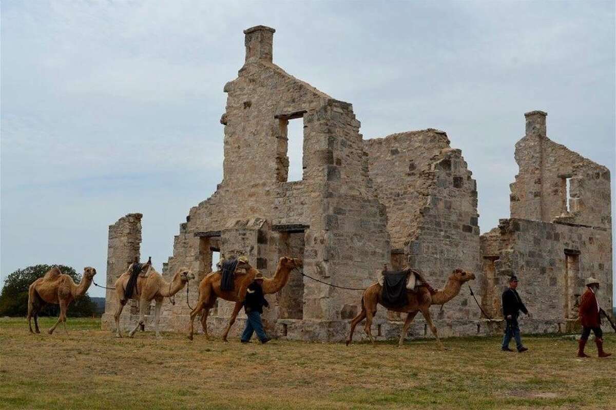 Military’s Texas camel experiment was a short one