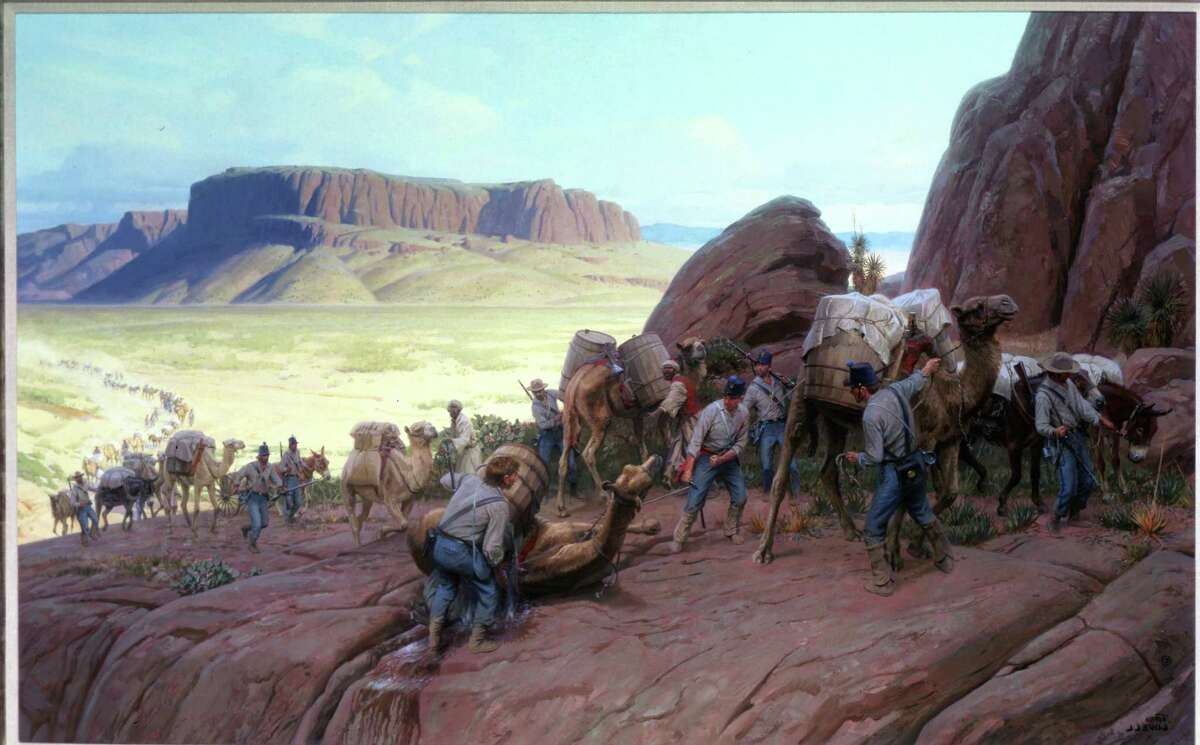 Military’s Texas camel experiment was a short one