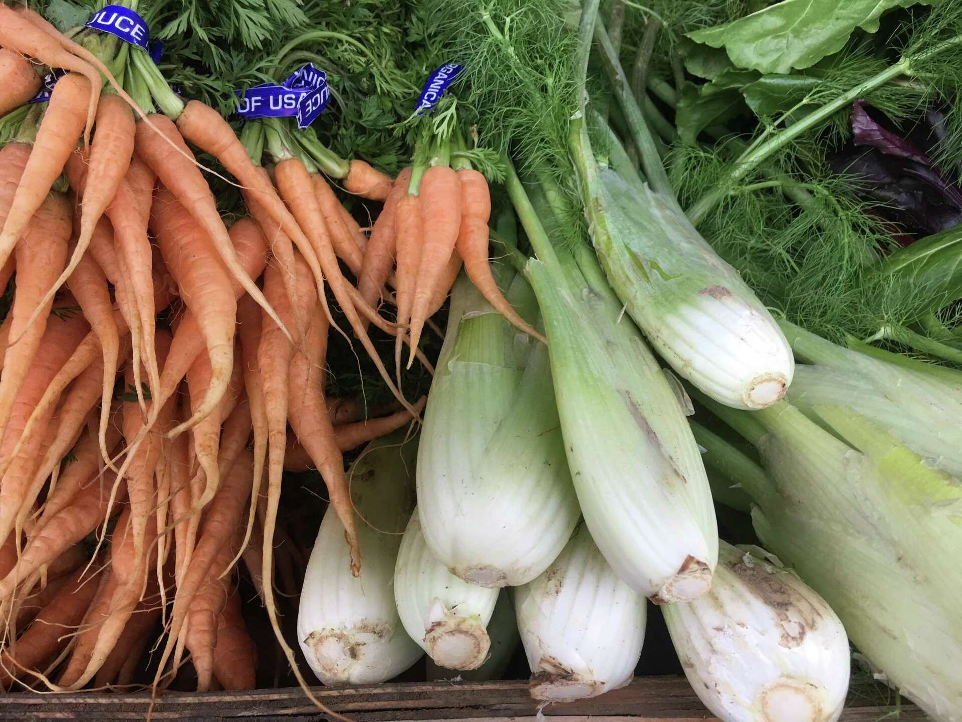 Your guide to planting a winter vegetable garden