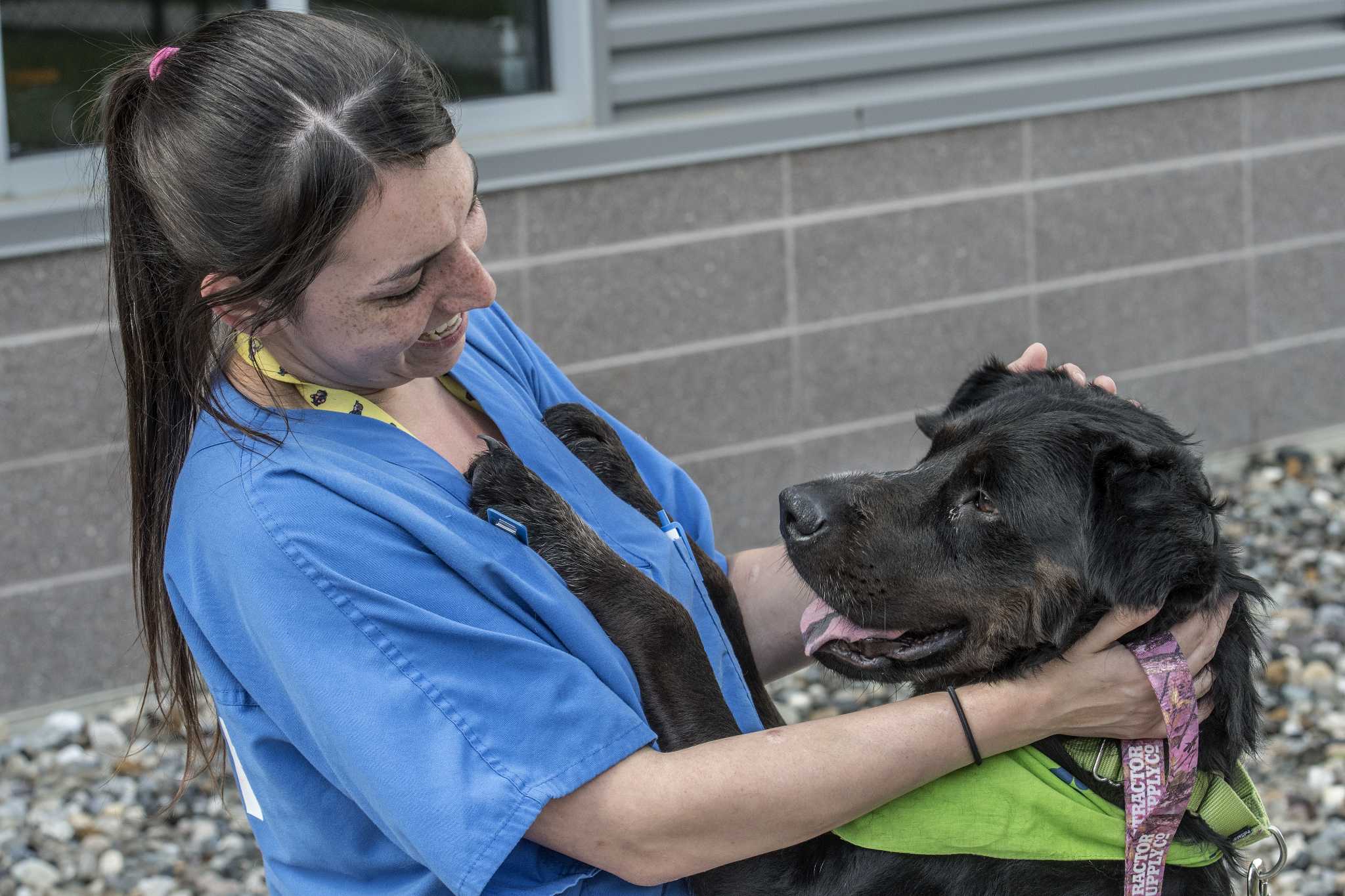 Pets rescued from hurricane zones prepare for Capital Region adoptions