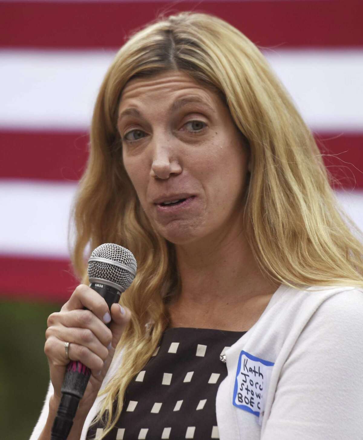 At picnic, Greenwich Dems say this could be their year