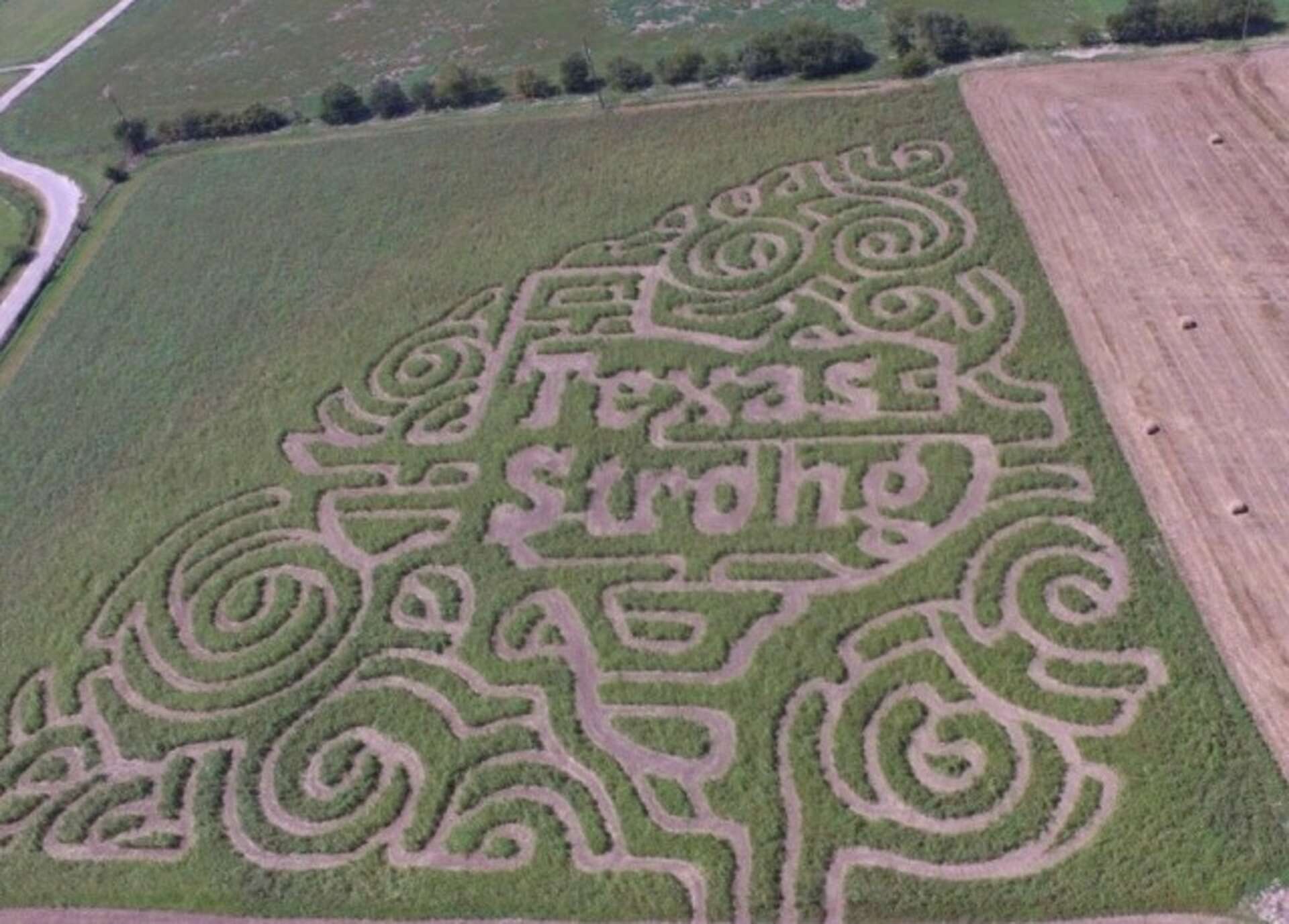 Lone Star corn maze changes design to 'Texas Strong'
