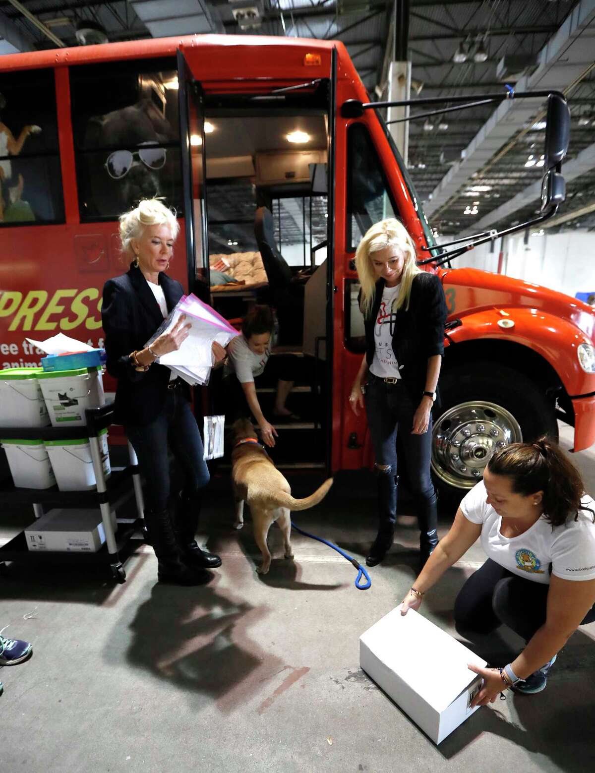 NRG pet pavilion hopes to reunite owners, animals