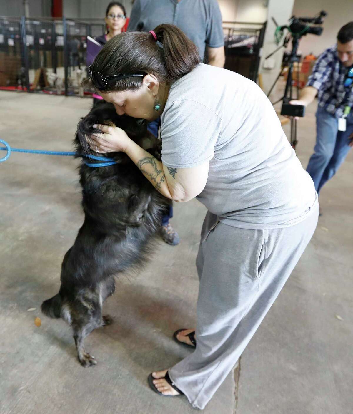 NRG pet pavilion hopes to reunite owners, animals