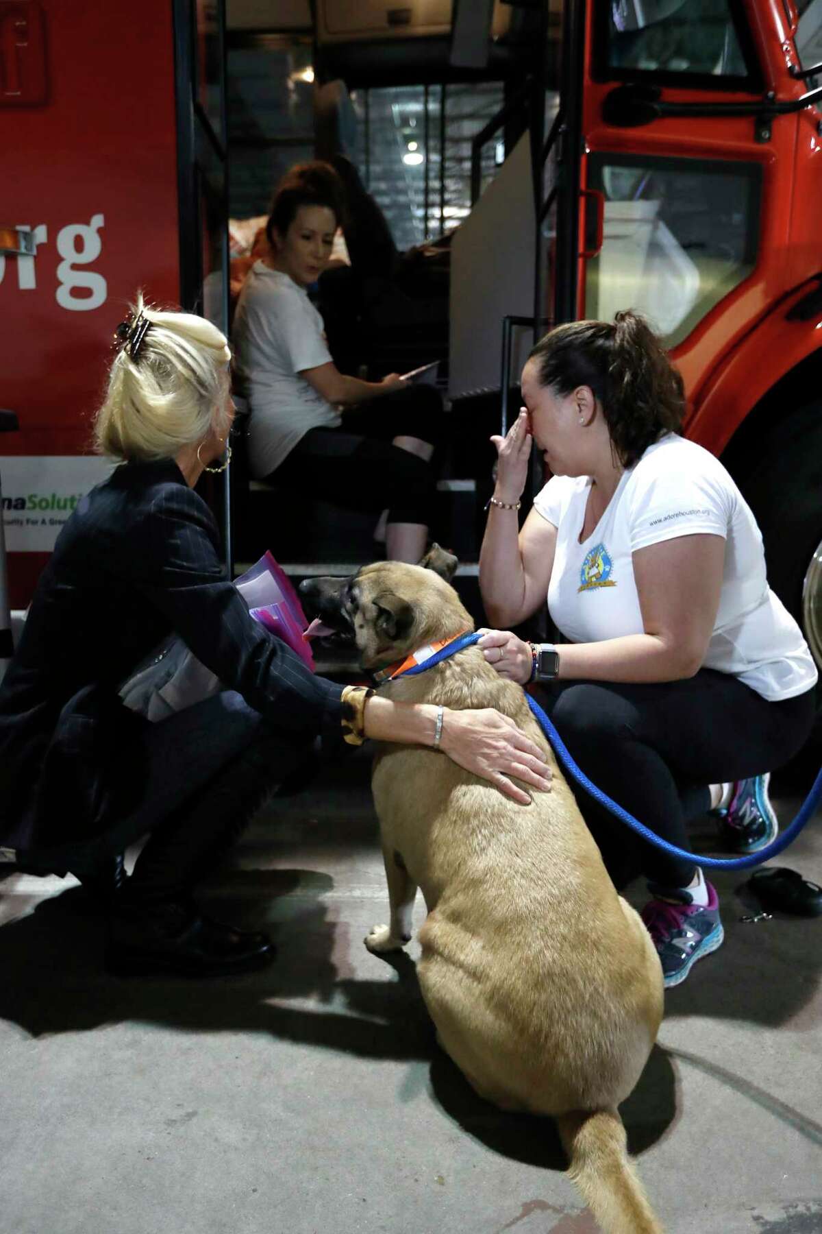 NRG pet pavilion hopes to reunite owners, animals