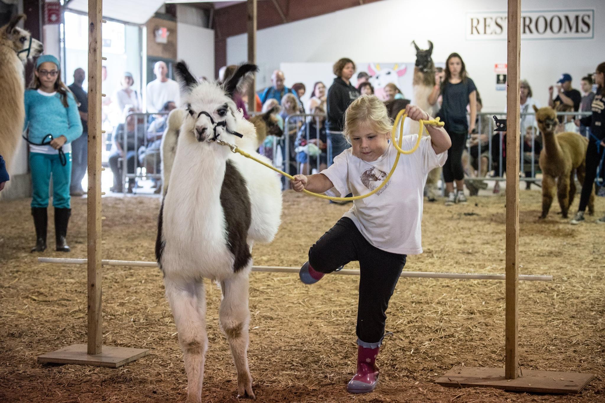 Durham Fair ready for 4 days of busy fall fun at fairgrounds