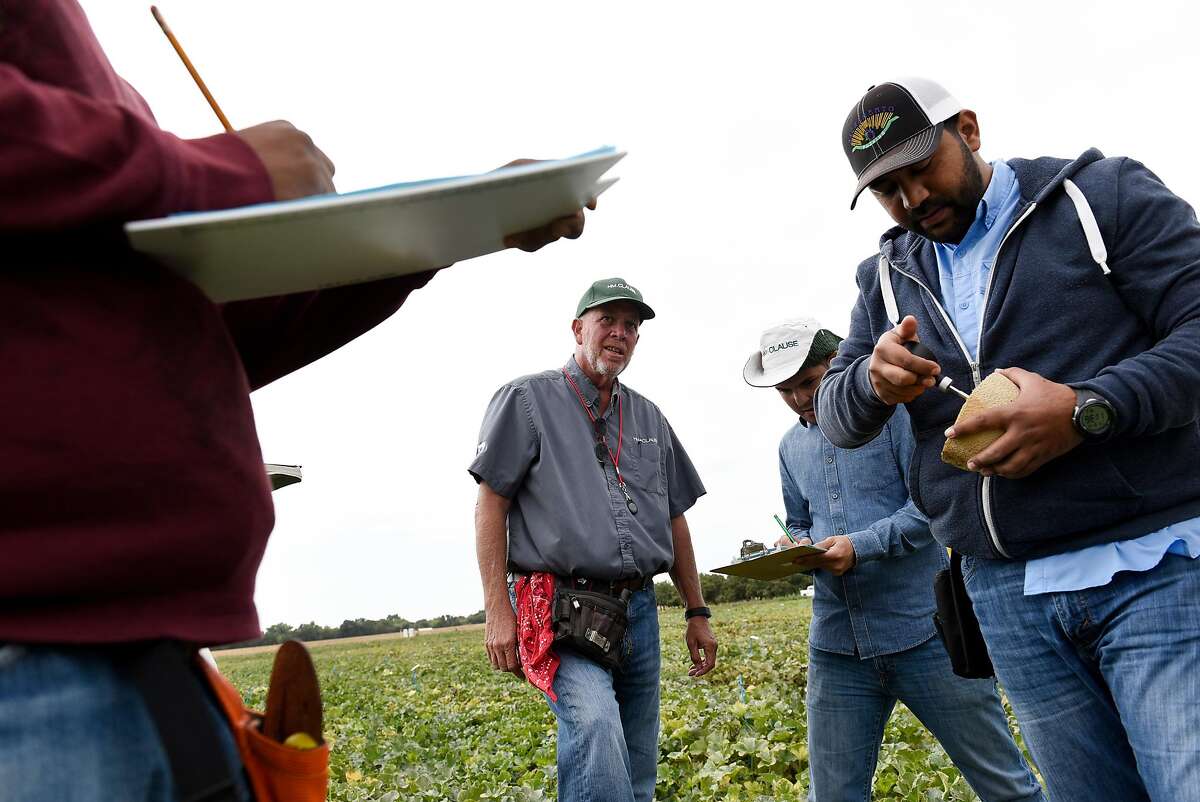Blueprint for produce: How fruits & vegetables are designed for the market