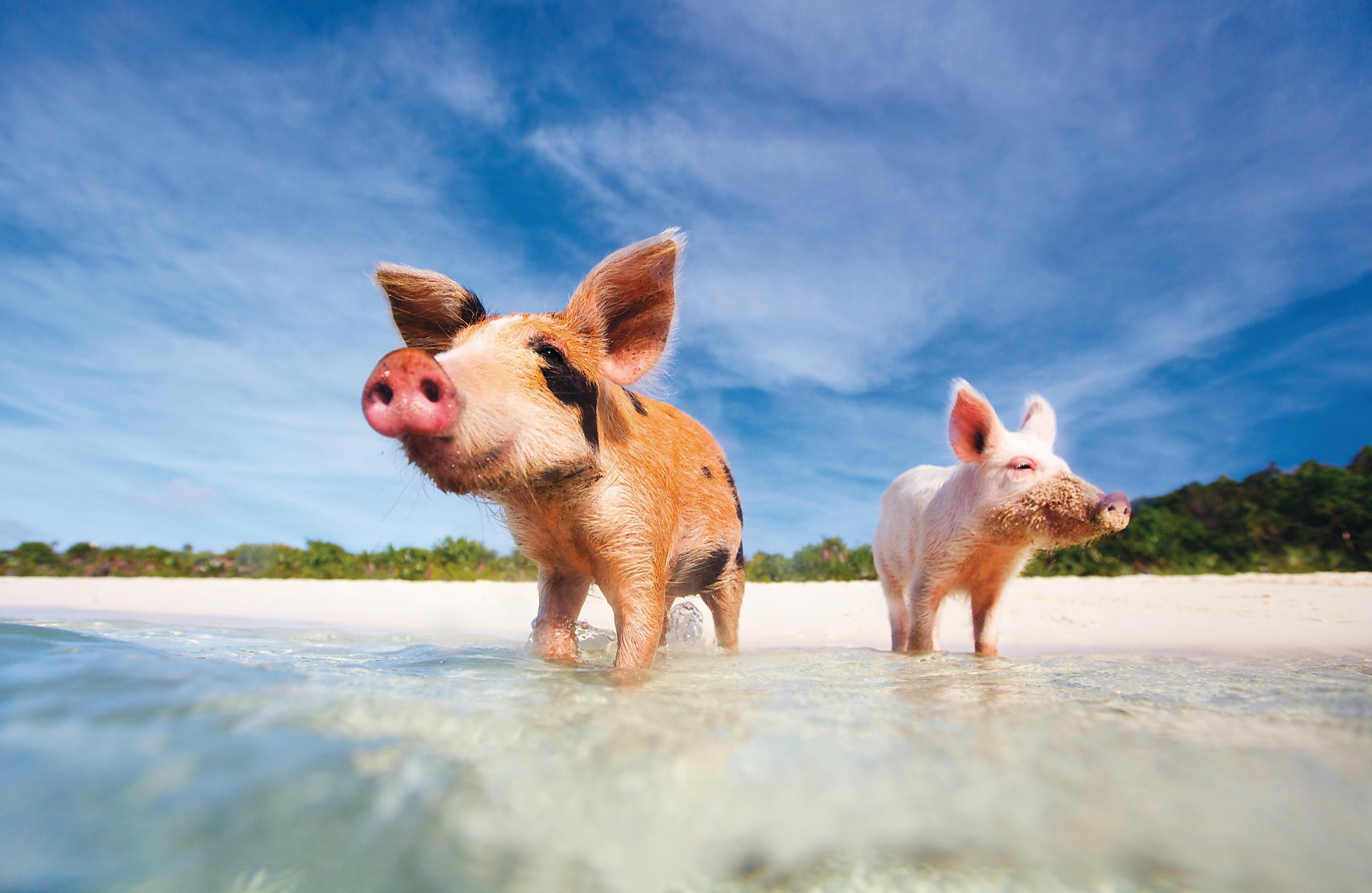 Travel books: Fun romp through world’s madcap marvels