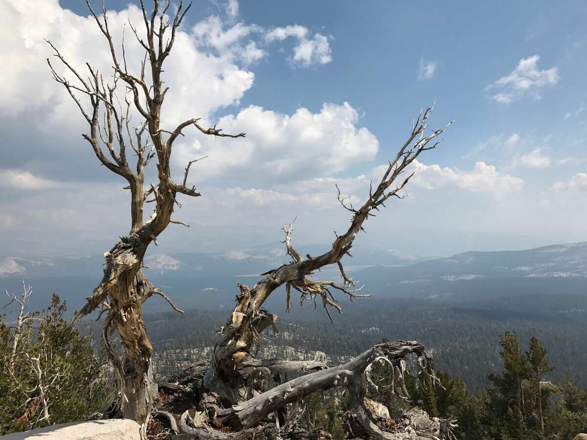 Photos: Pristine Sierra camp spot you've probably never heard of
