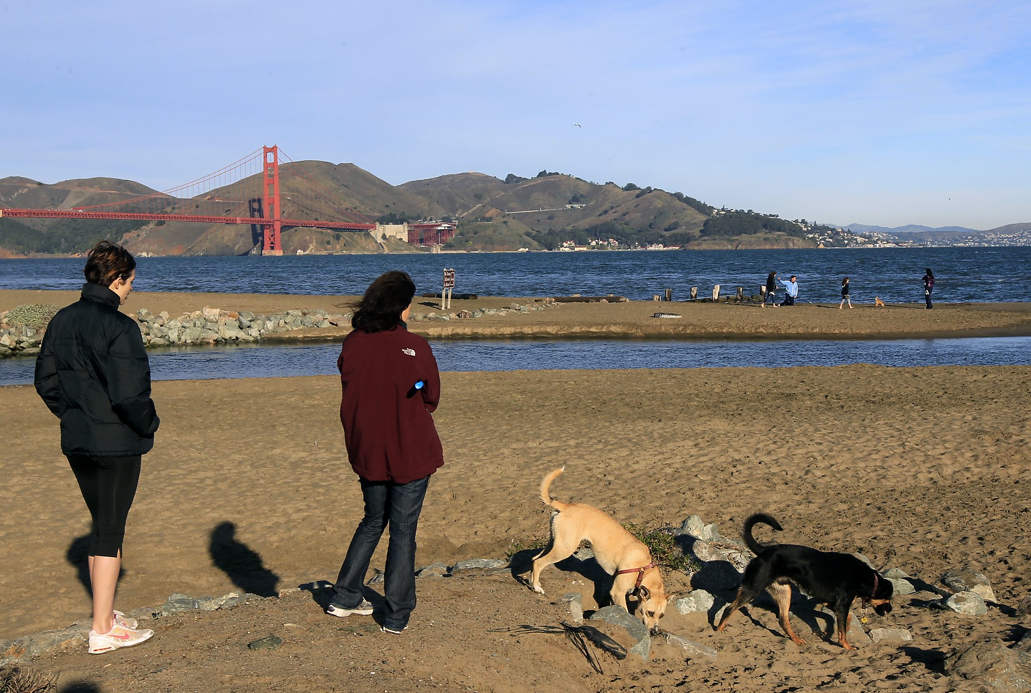 Rep. Speier’s amendment takes bite at GGNRA dog-walking rules