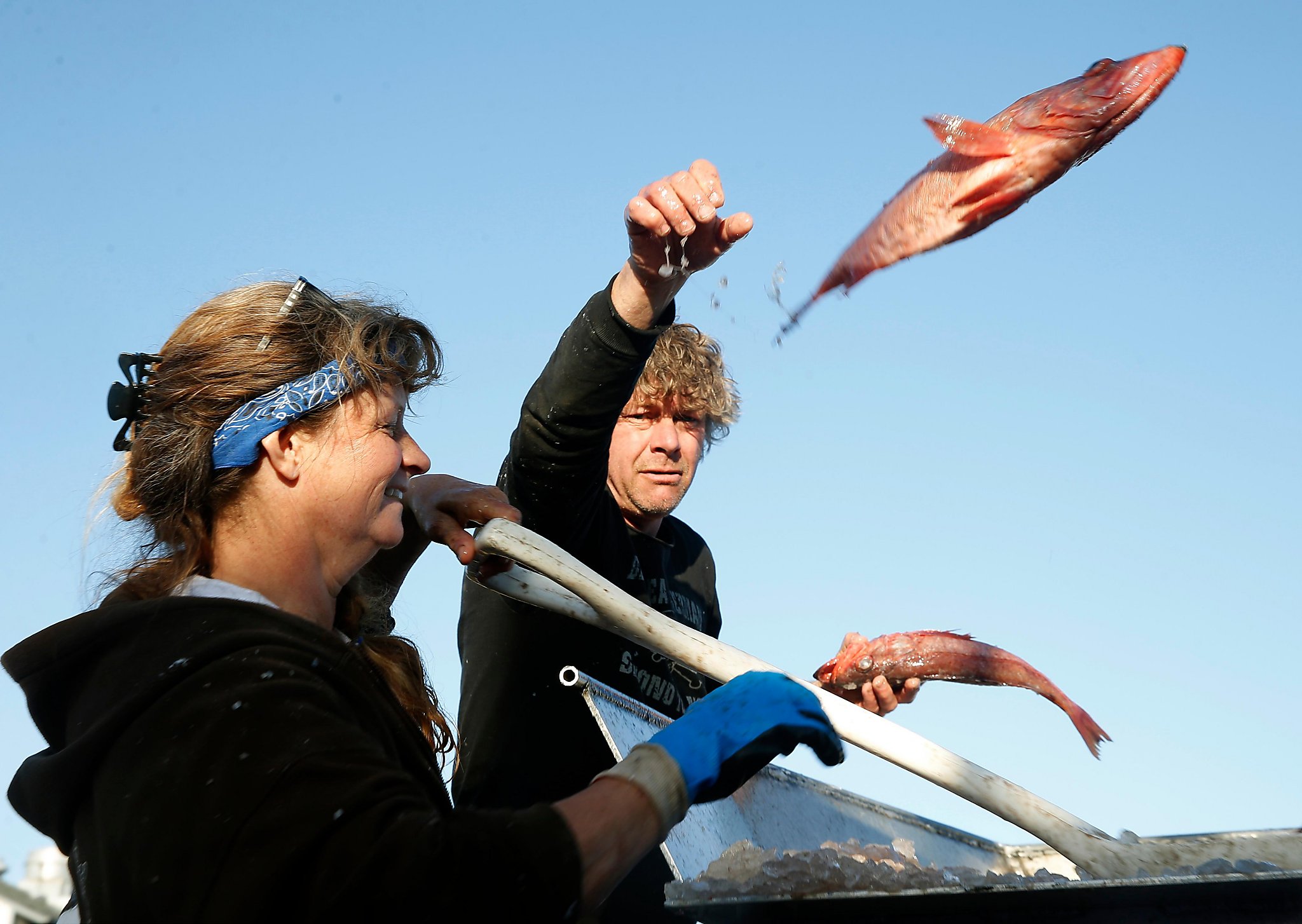 Port delays direct fish sales from Fisherman’s Wharf