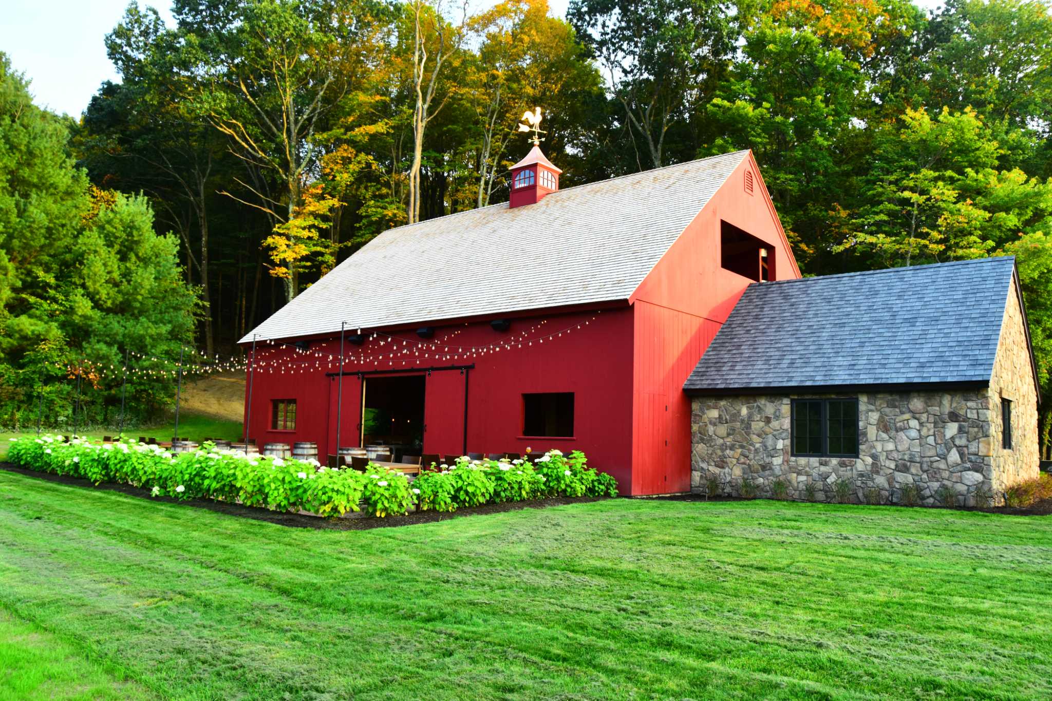 Matt Baumgartner going pastoral with June Farms