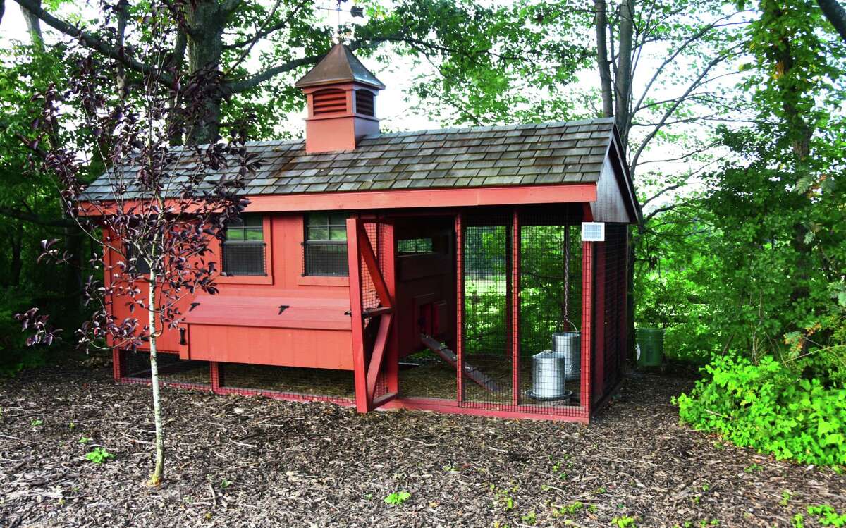 Matt Baumgartner going pastoral with June Farms