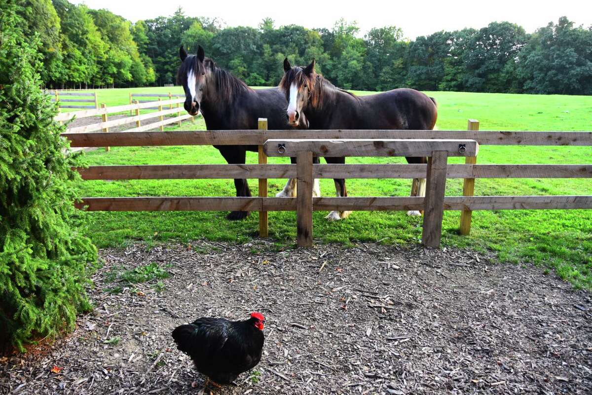 Matt Baumgartner going pastoral with June Farms