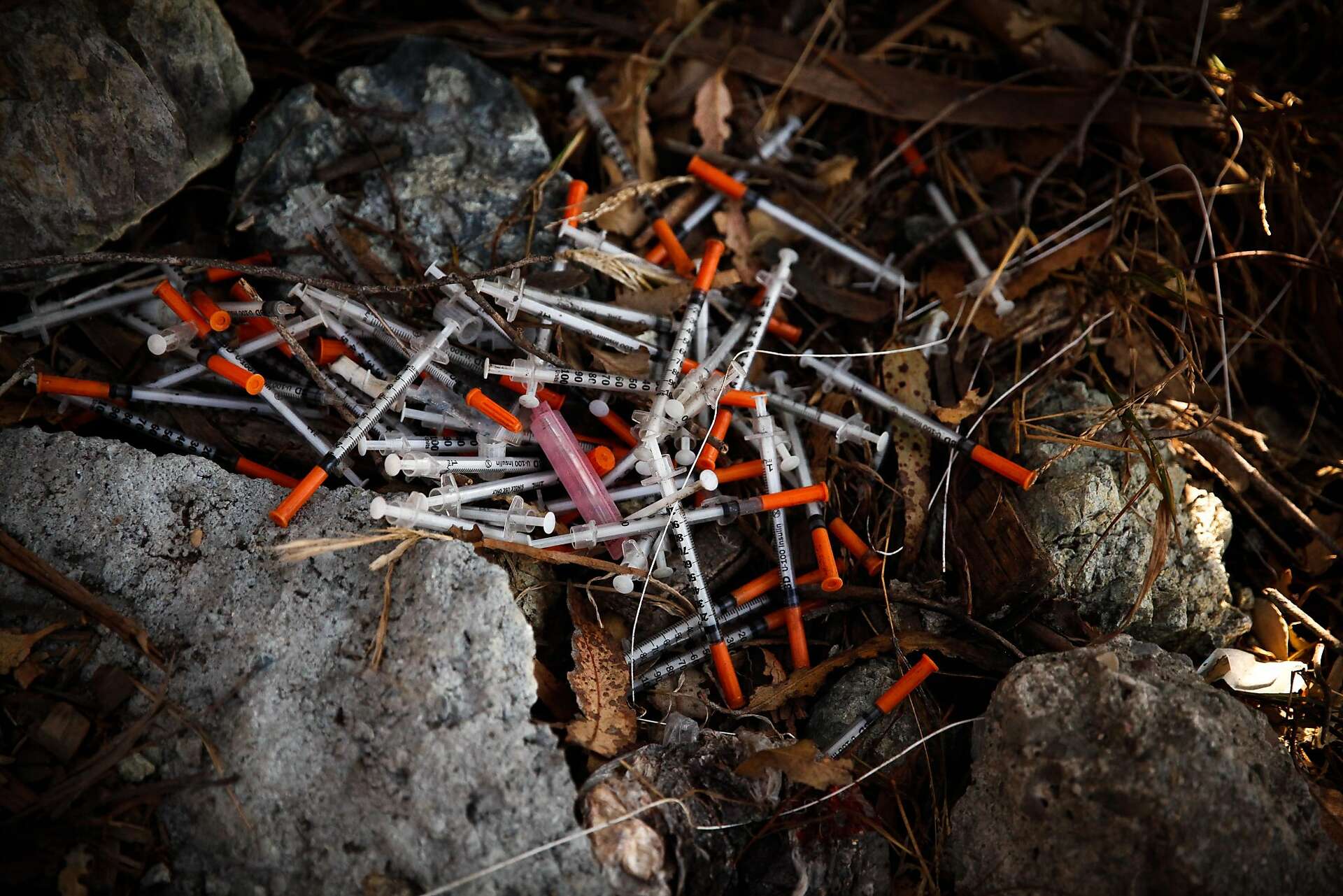 Parts of San Francisco dirtier than foreign slums, UC Berkeley ...