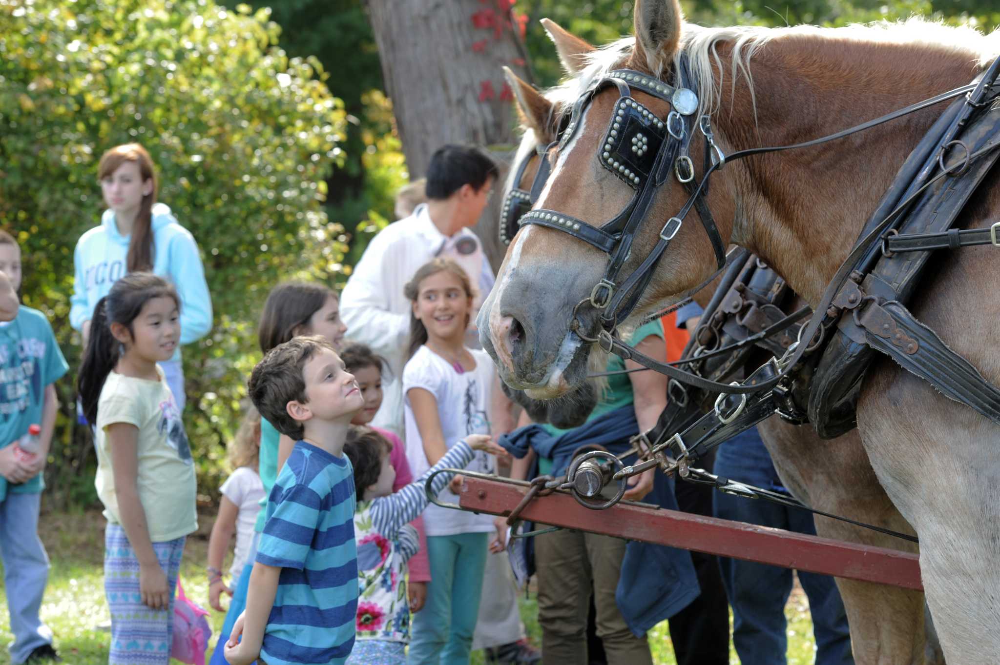 Family Nature Day at White Memorial Conservation Center in Litchfield