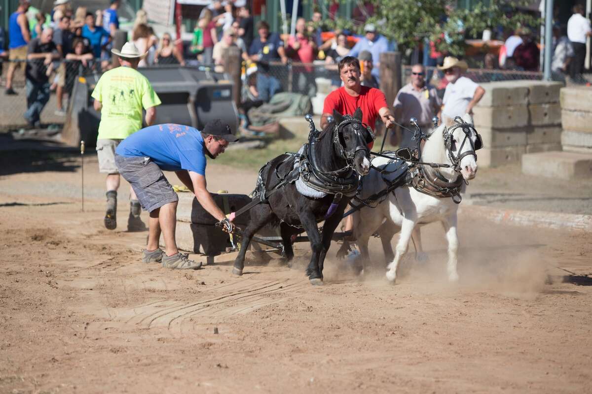 Chamber Corner: Much anticipated Durham Fair runs all weekend