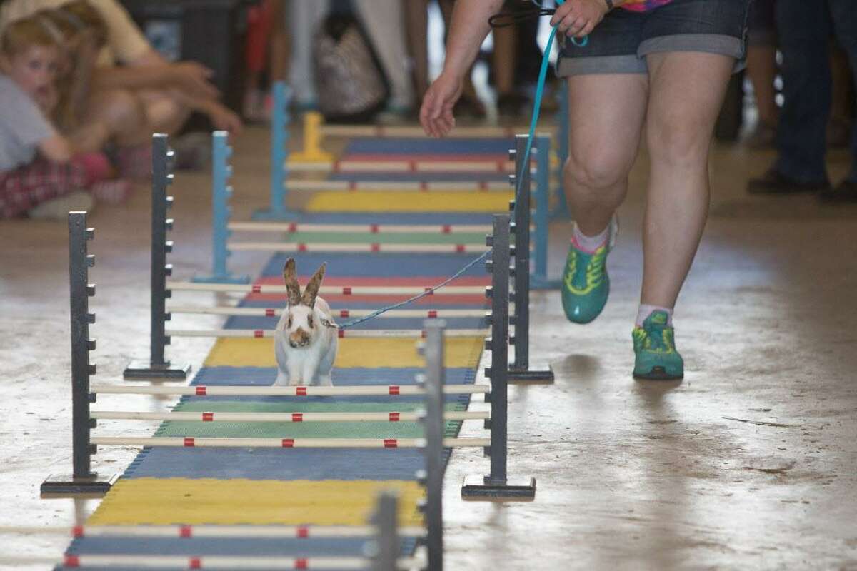 Food & fun at the Durham Fair 2017