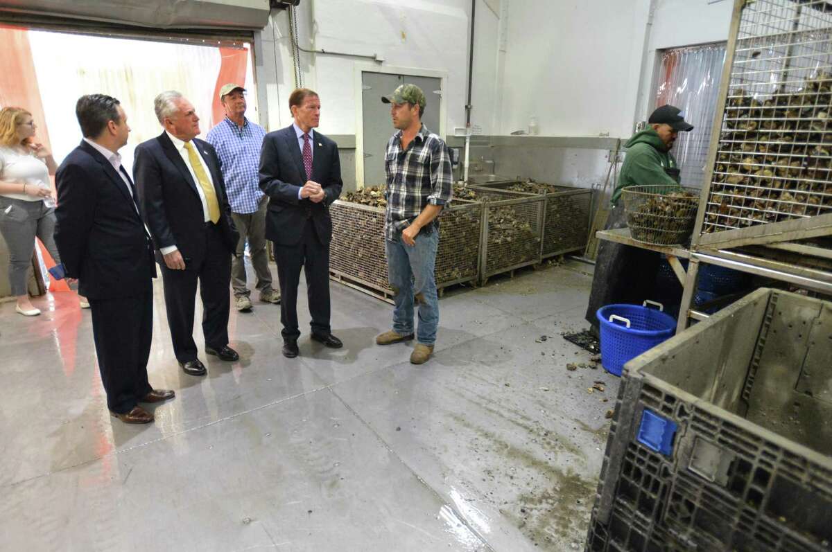 First National Lobster Day marked in Norwalk