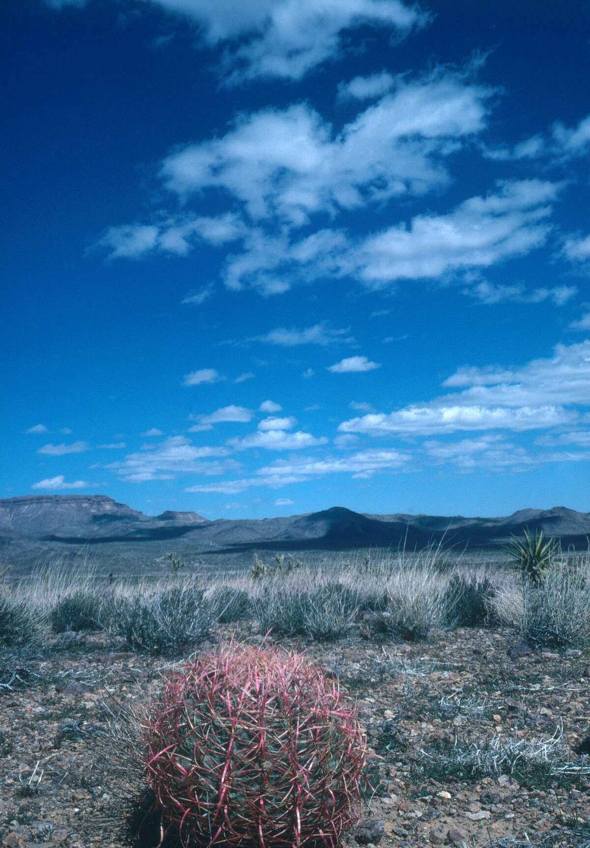 Mojave's magnificent Mitchell Caverns reopening after 6 years and a ...