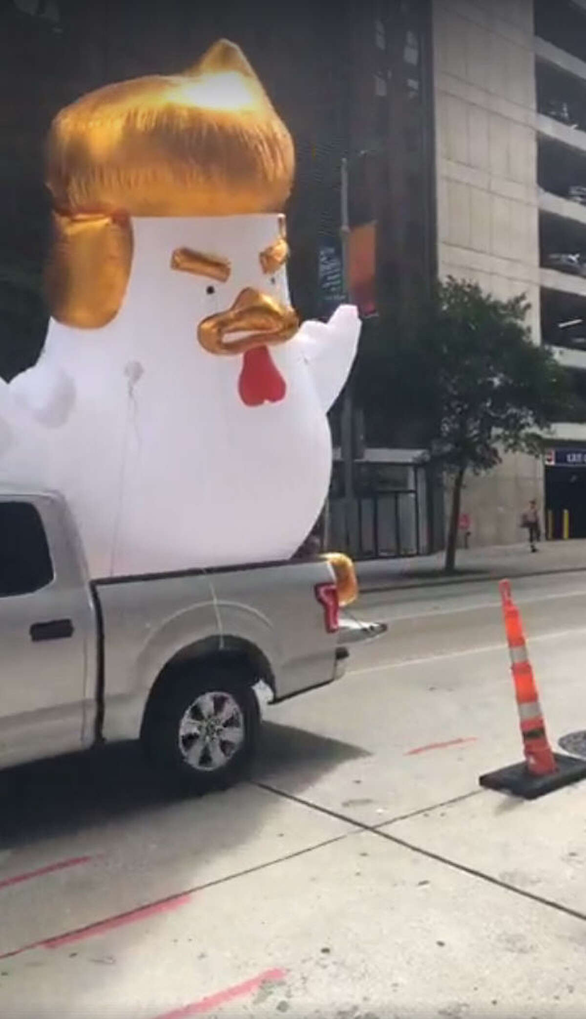 Why a Houston woman sent a giant inflatable Donald Trump chicken to Sen ...