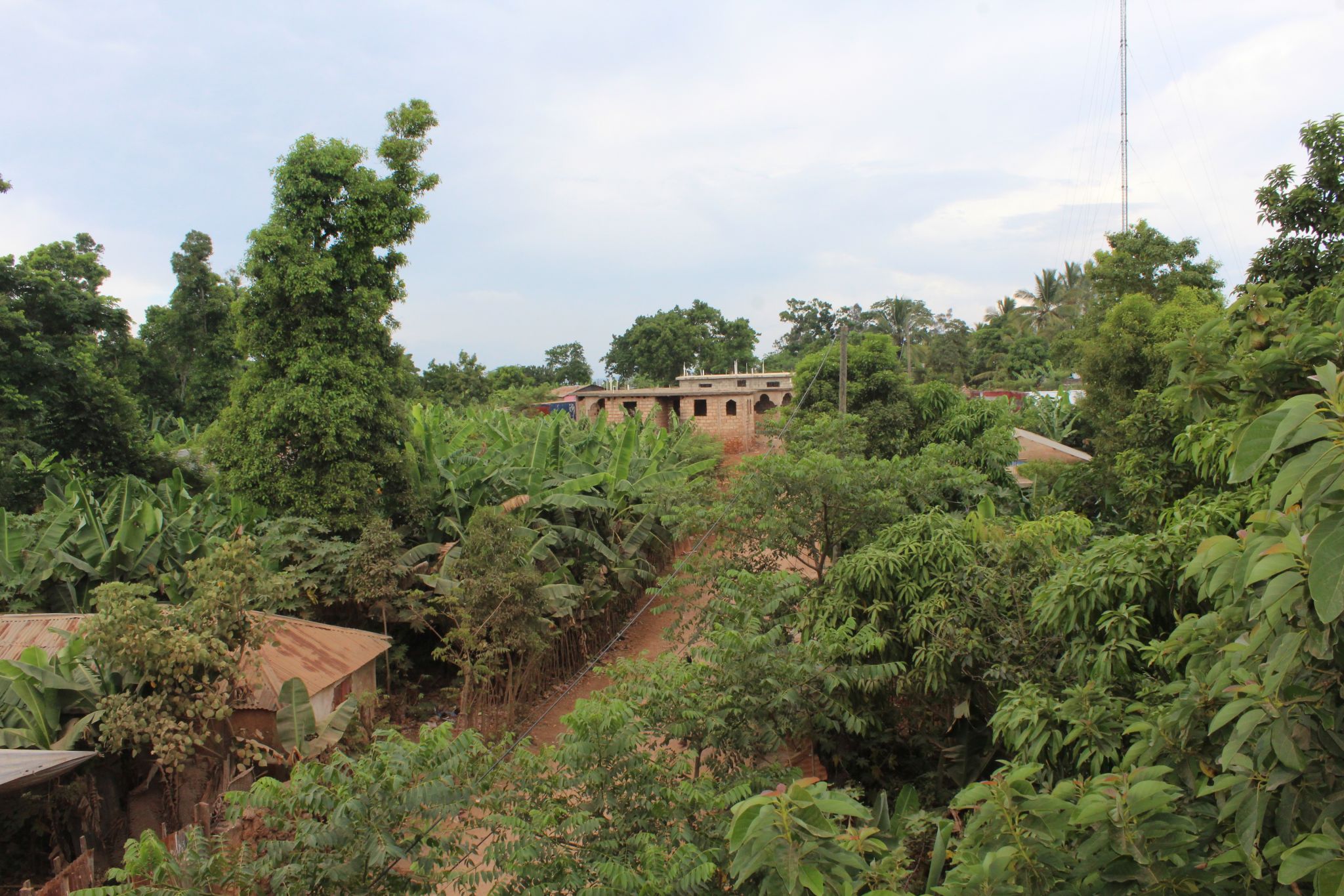 Haiti: Multifaceted country derives beauty from its people