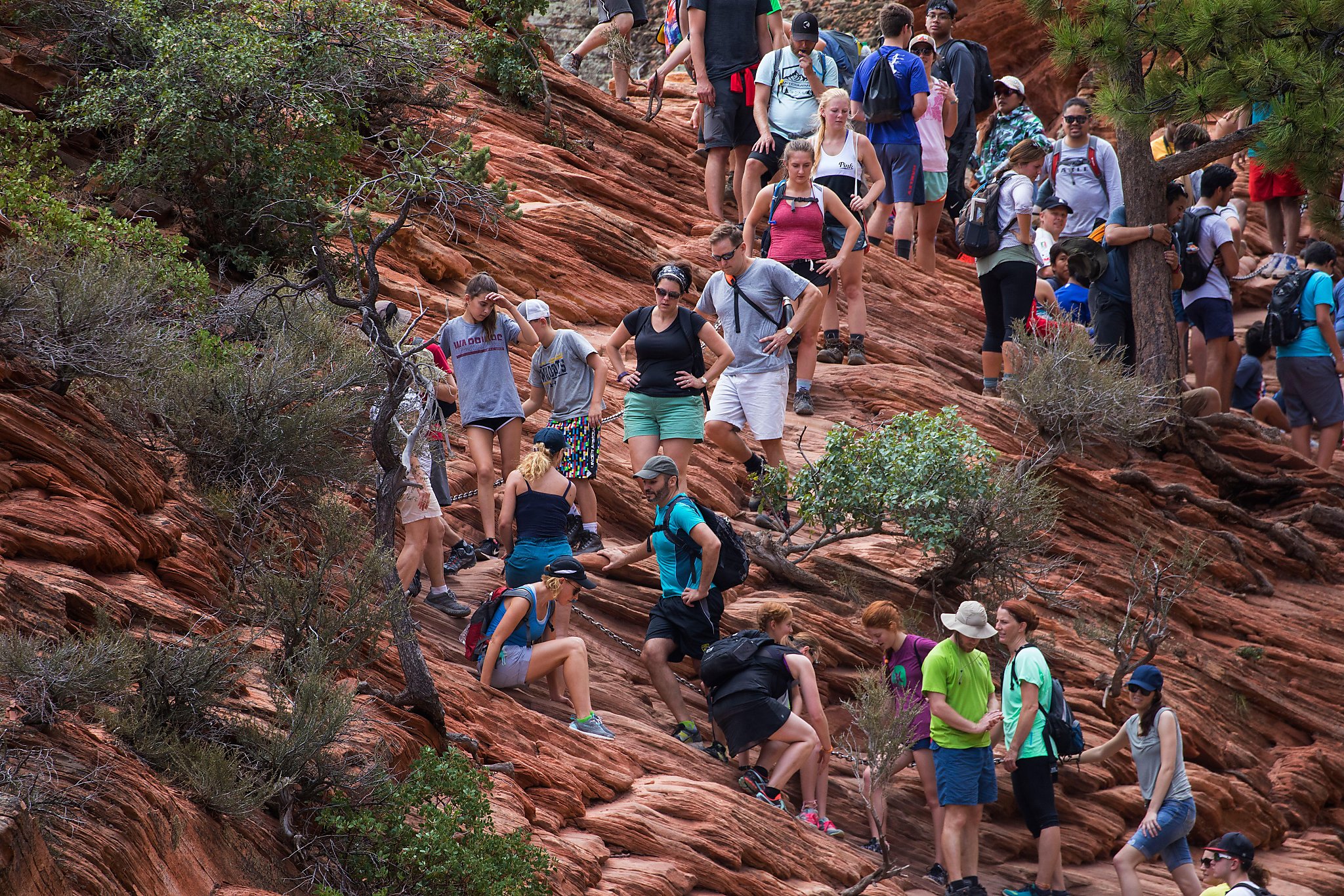 National parks struggle with overcrowding