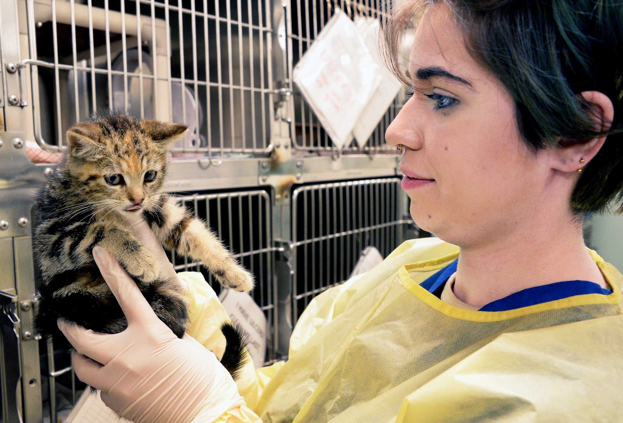 Photos: New Humane Society care center opens