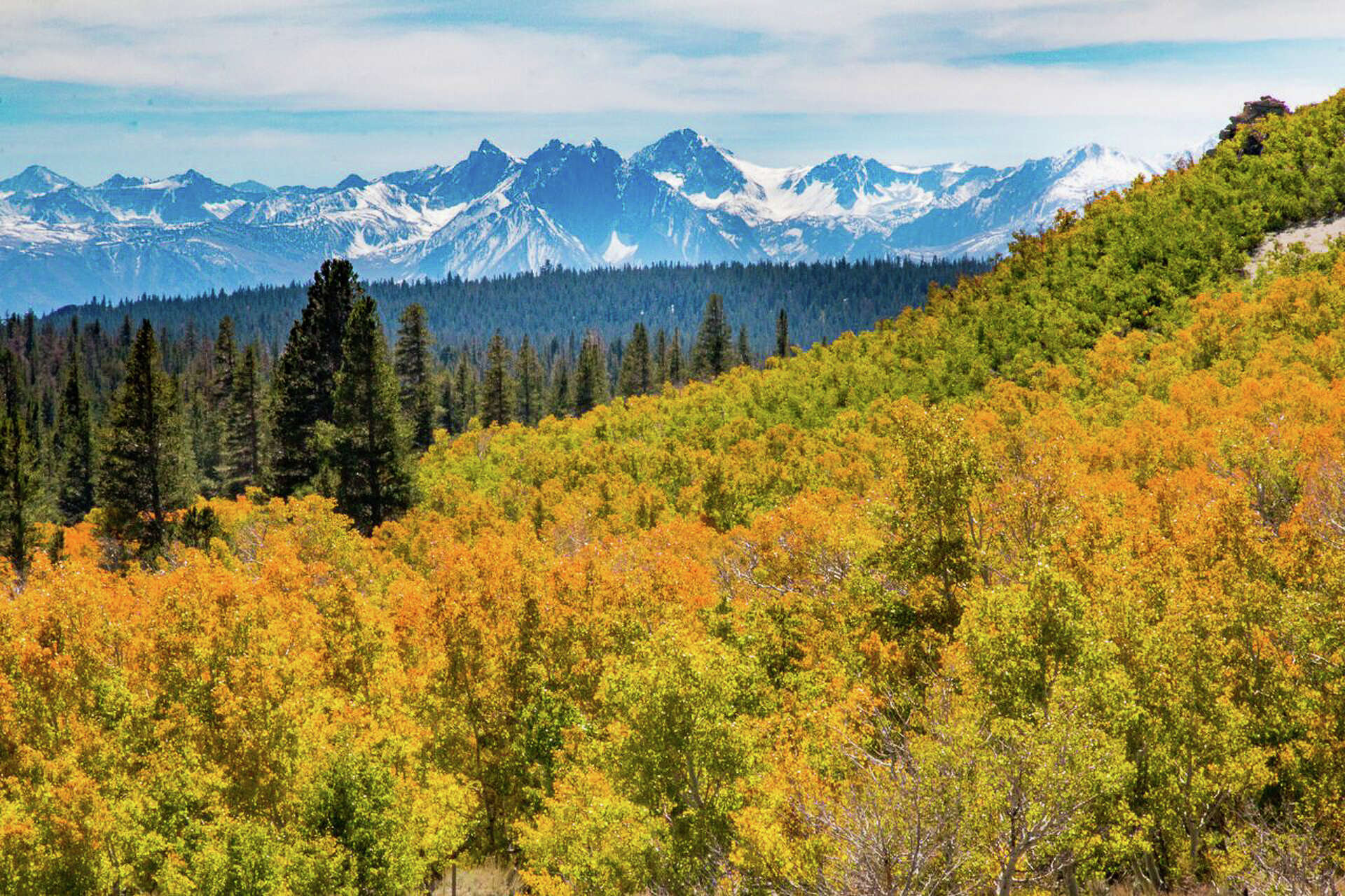 California fall color season is latest since turn of the century