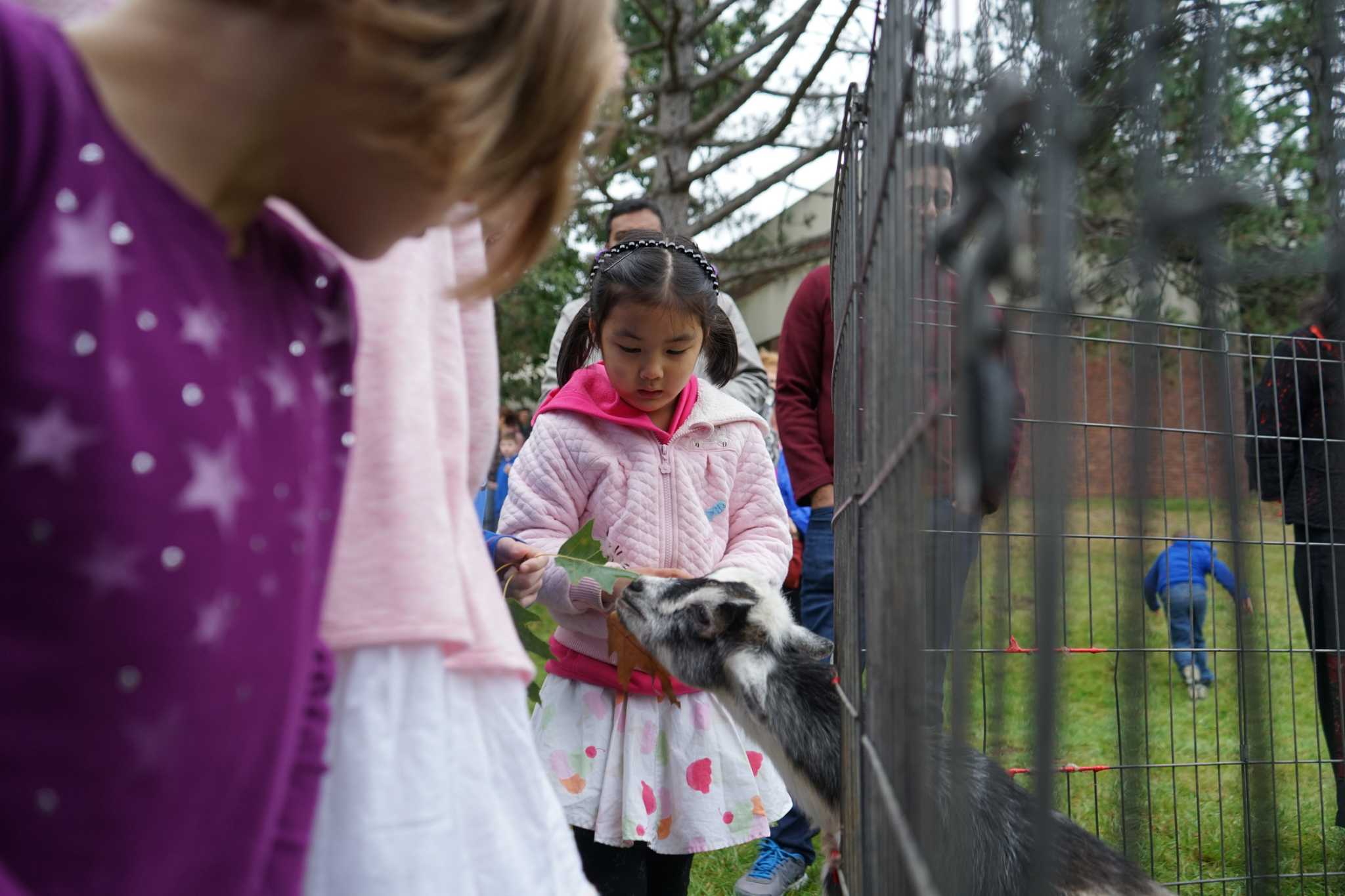 Photos: Check out the fun at Colonie library