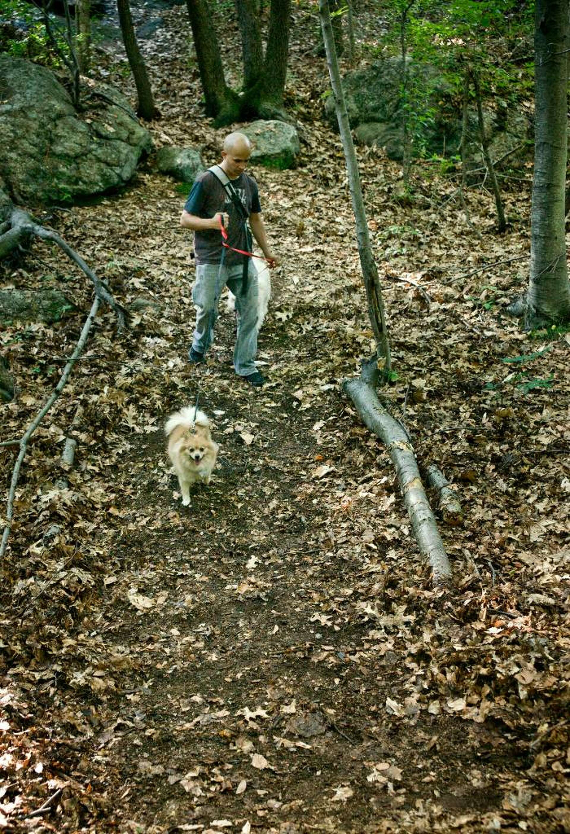 Hiking: Checking out the Rosa Hartman Park/Laddins Rock Sanctuary trails