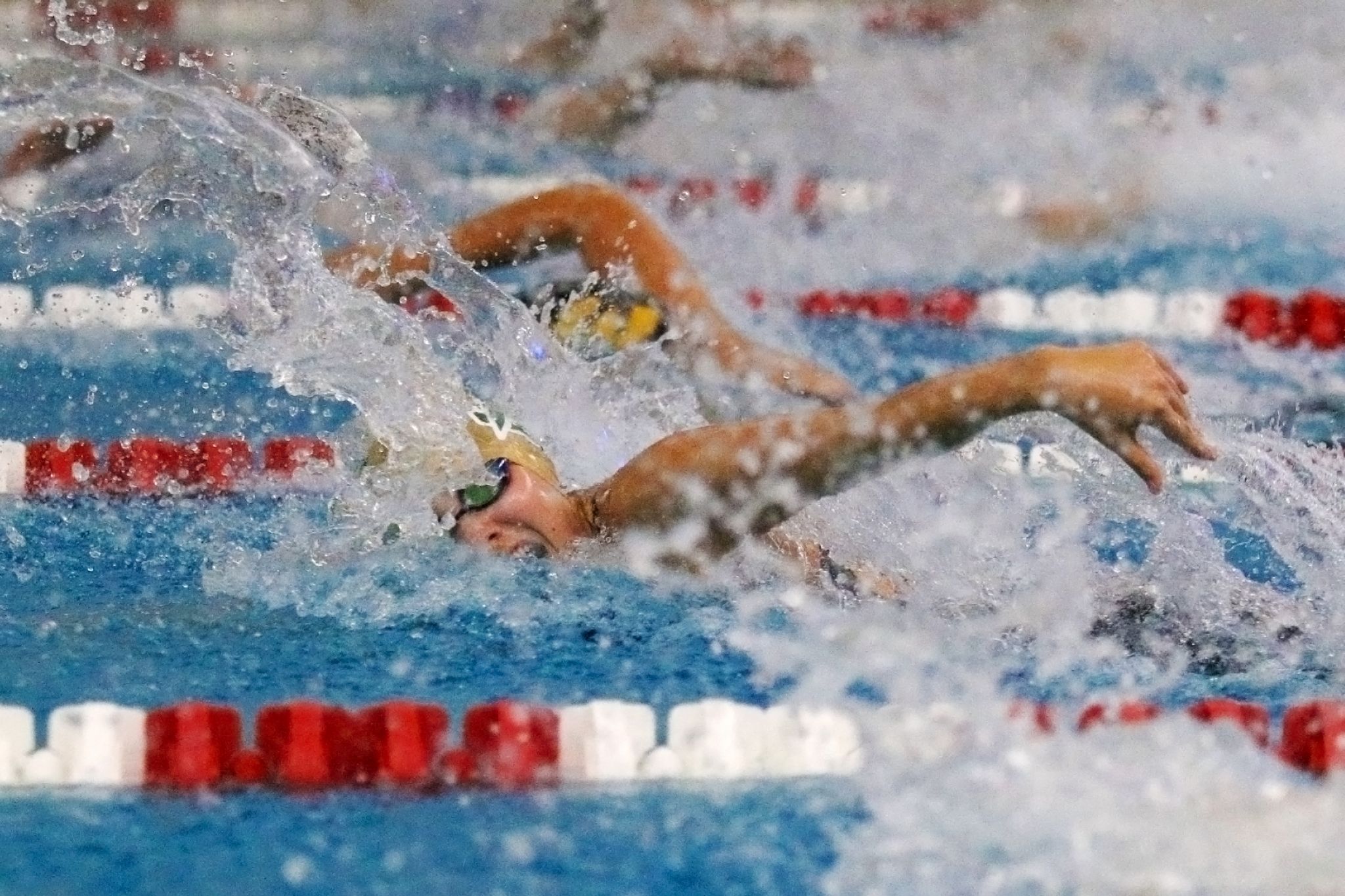 Tri-Cities girls swimming and diving championships 2017