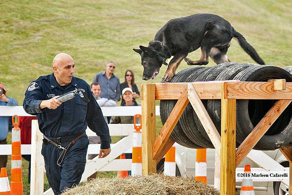 Annual police dog obstacle competition set Saturday in Newtown