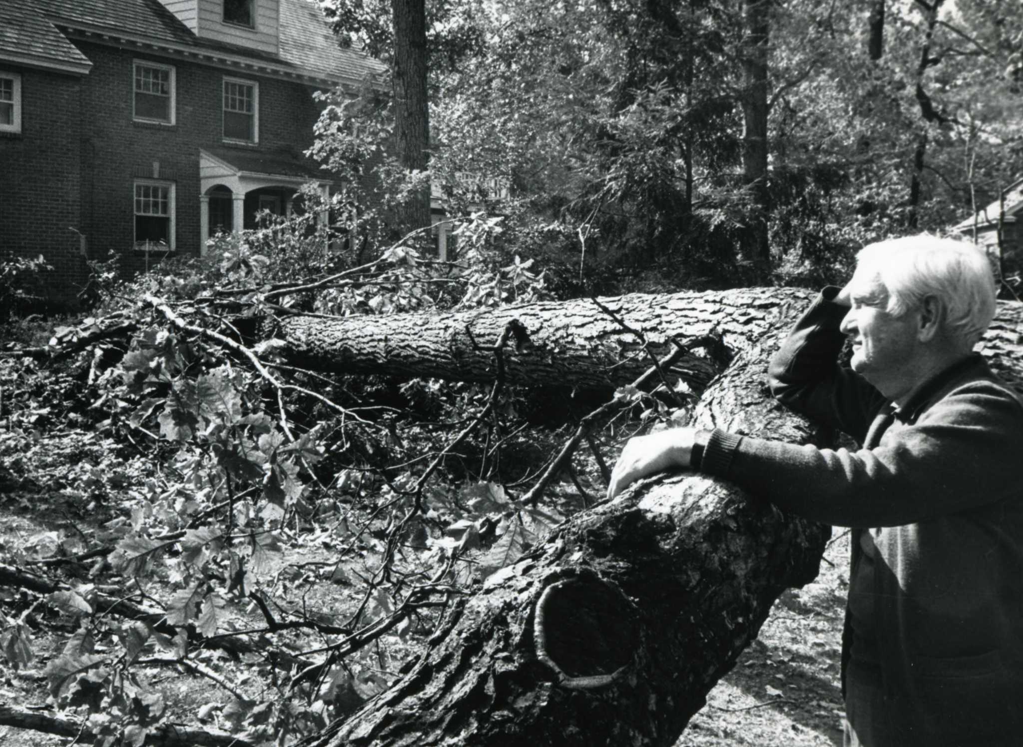 30 years after storm, utility stronger
