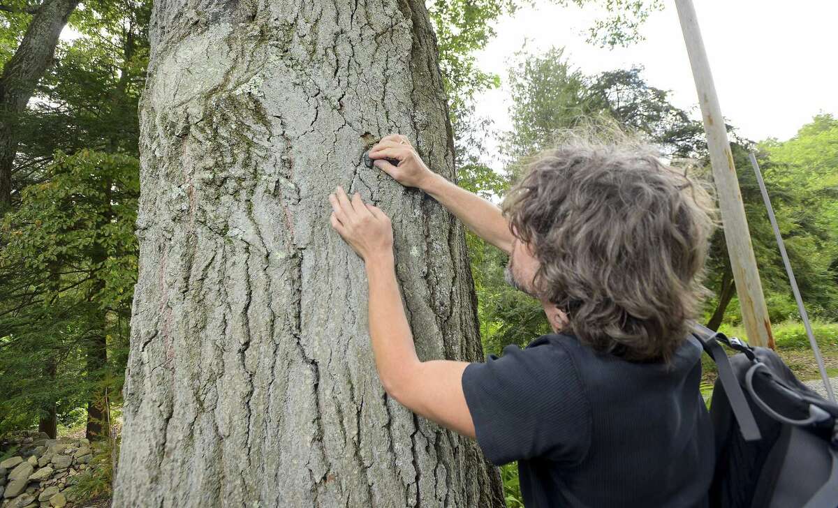 Artist hides sculptures in Stamford
