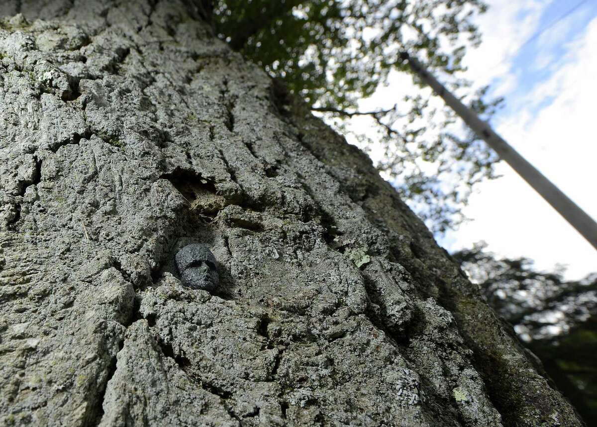 Artist hides sculptures in Stamford