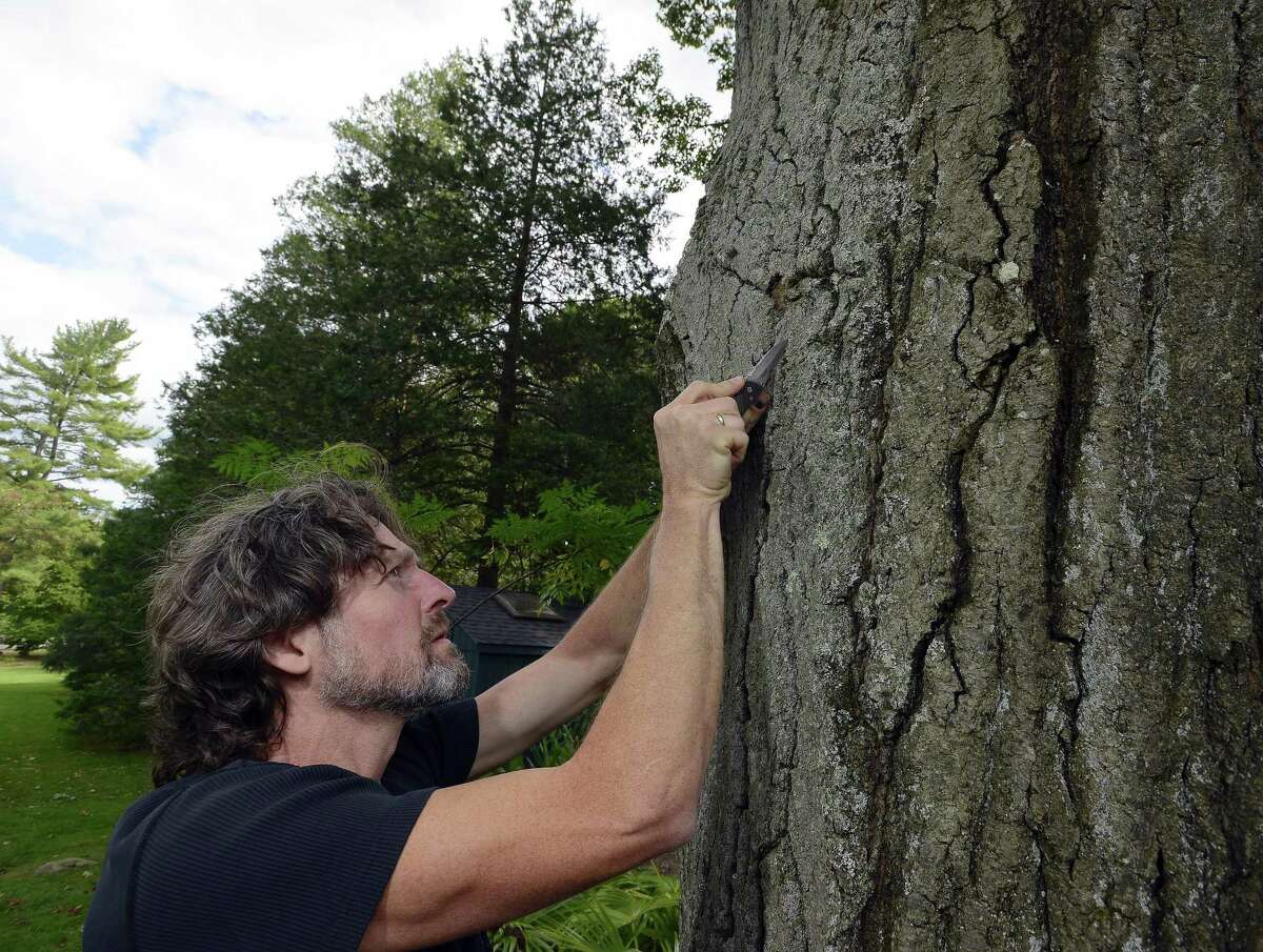 Artist hides sculptures in Stamford