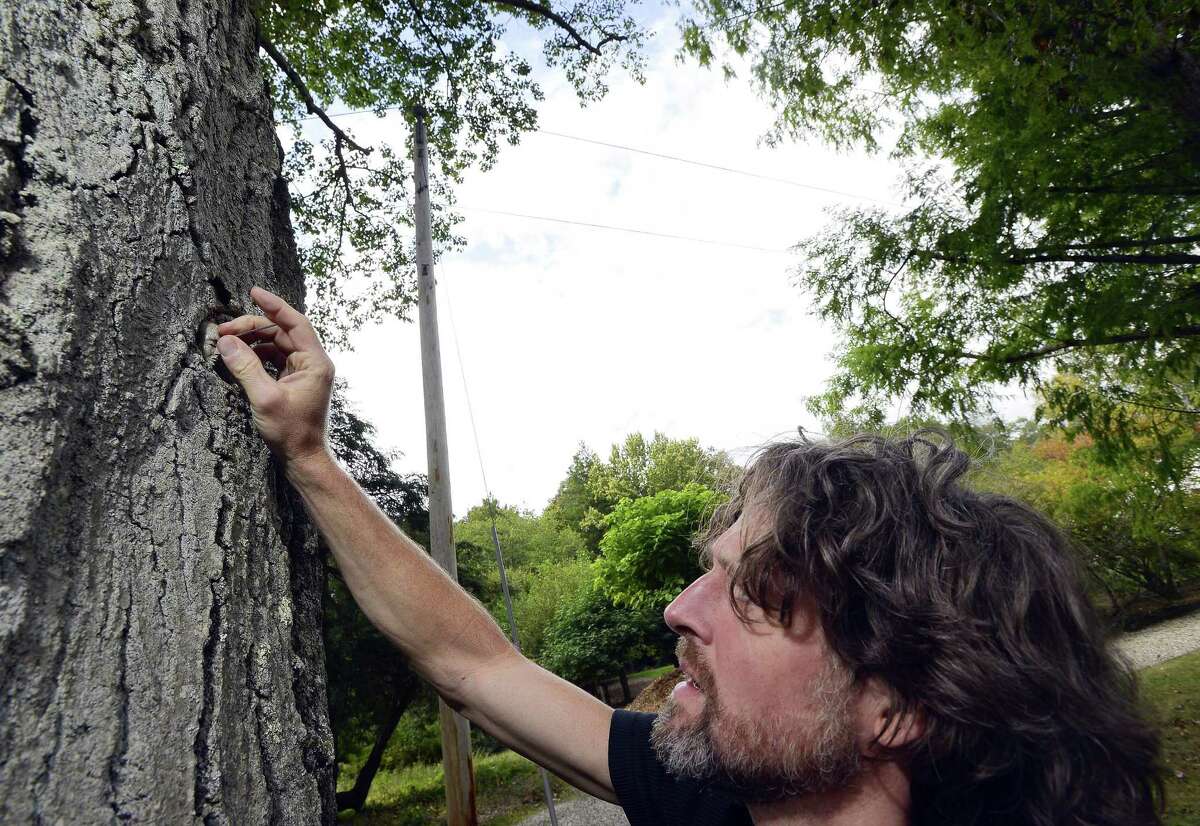 Artist hides sculptures in Stamford