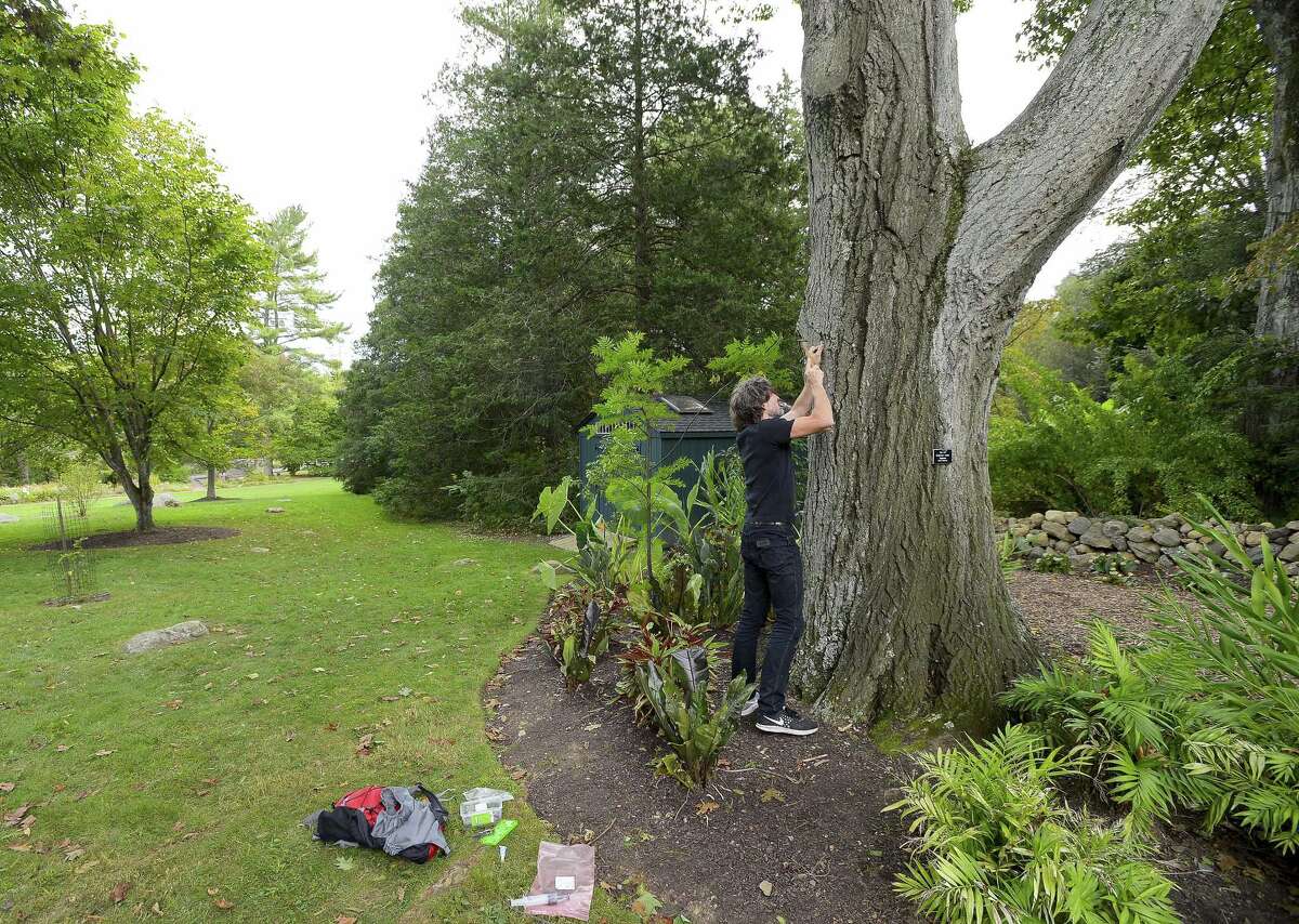 Artist hides sculptures in Stamford